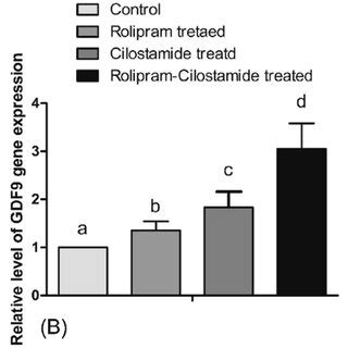 The Relative Level Of Gene Expression On Quantitative Analysis Of MRNA