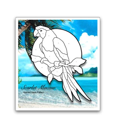 Red Macaw Stained Glass Pattern Etsy