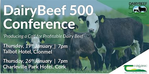 Dairy Beef 500 Conference Icbf