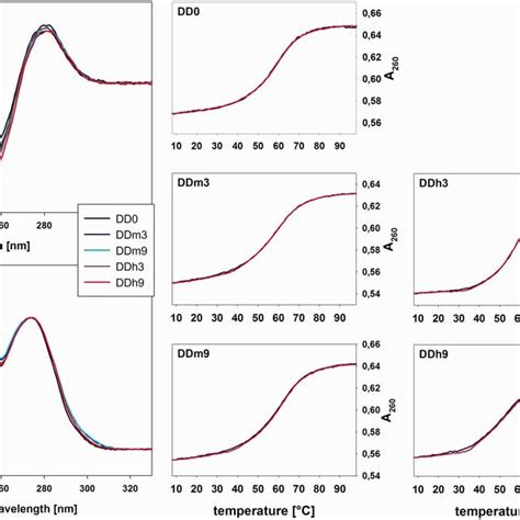 Cd And Uv Spectroscopic Characteristics Of The Oligonucleotides In 10 Download Scientific