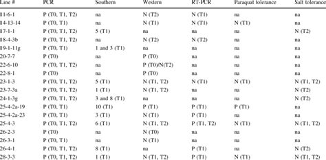 Summary Of Molecular Characterization On Bcl Xl Transgenic Lines