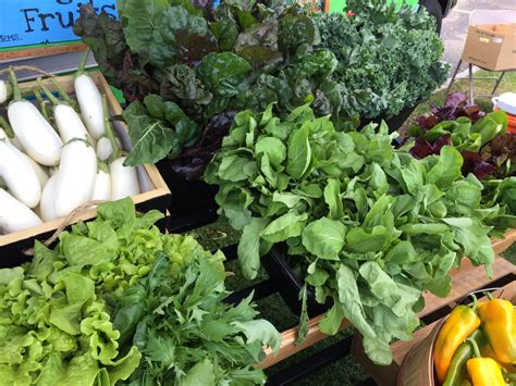 The Origins Of Community Supported Agriculture Csa Heartbeet Farms