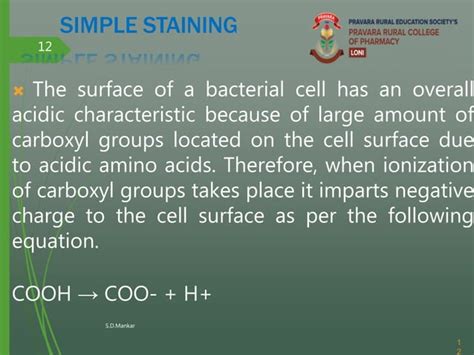 Identification Of Bacteria By Using Different Staining Techniques Like Simple Staining Gramss