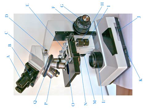 Using The Microscope Science Toys