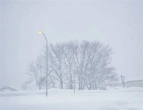雪景拍摄技巧教你轻松拍出雪景大片 搜狐大视野 搜狐新闻