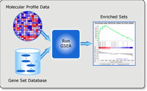 看完还不会来揍我 Gsea富集分析详解（一）—— 代码实操 Msigdb数据库介绍 附完整代码 注释 知乎