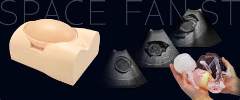 胎児超音波診断ファントム Space Fan St 京都科学