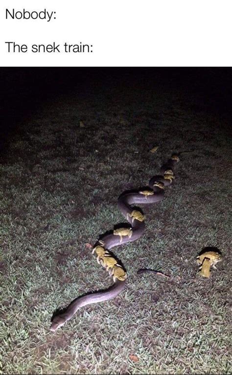 Snek Go Brrr Rsneks