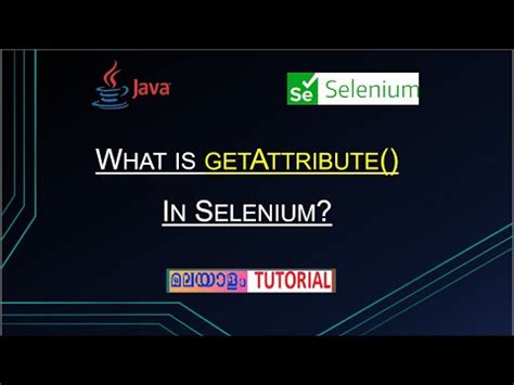P44 How To Get Attribute Value In Selenium WebDriver4 What Is