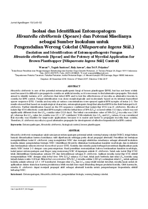 Pdf Isolasi Dan Identifikasi Entomopatogen Hirsutella Citriformis