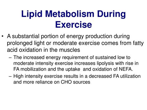 PPT Lipid Metabolism During Exercise PowerPoint Presentation Free