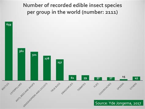 List Of Edible Insects Of The World April 1 2017 Wur