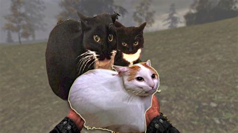 Maxwell The Cat But It S Gmod Youtube