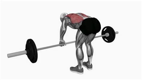 Barbell Pendlay Row — Ryse