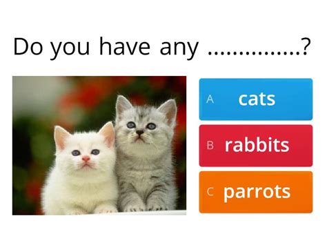 Class 3 Quiz