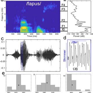 Experimental Design A Spectrogram Of One Of The Nonwords Produced In Download Scientific