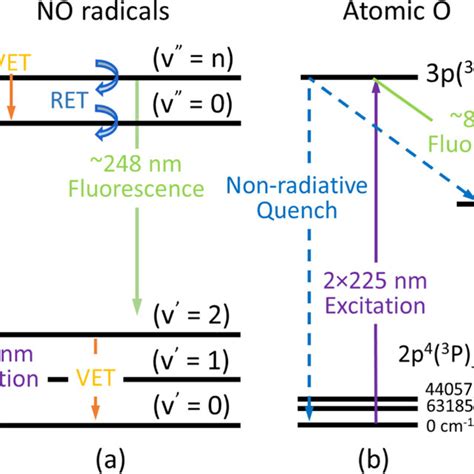 Schematic Showing The Arrangement Of The Laser Induced Fluorescence