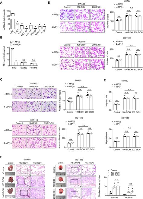 ethanol promotes alcohol related colorectal cancer metastasis via the