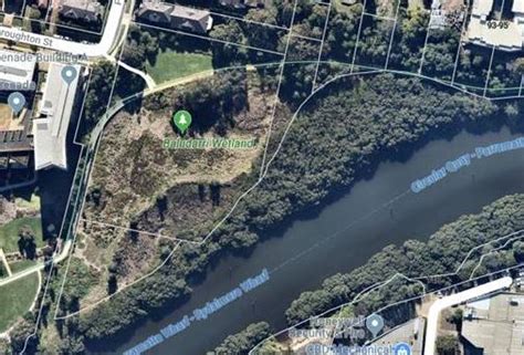 Baludarri A Significant Figure In Parramatta History Parramatta History And Heritage