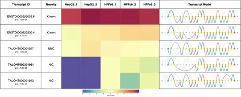 Visualizing Long Read Transcriptomes Sam Morabito