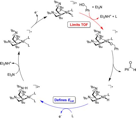 Determining Overpotentials For The Oxidation Of Alcohols By Molecular