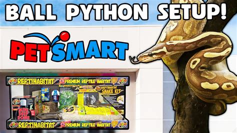 Ball Python Setup Guide For Beginners Youtube