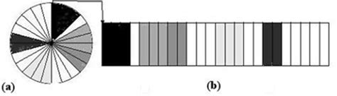 Figure 1 From Depth Estimation For Mobile Robot Using Single Omnidirectional Camera System