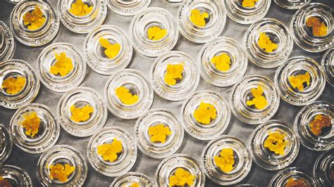The Lowdown On Full Spectrum Cannabis Extracts — Aloha Aina