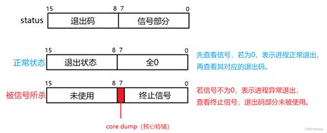 Linux 进程创建 进程等待 进程终止 程序替换linux进程创建过程 Csdn博客