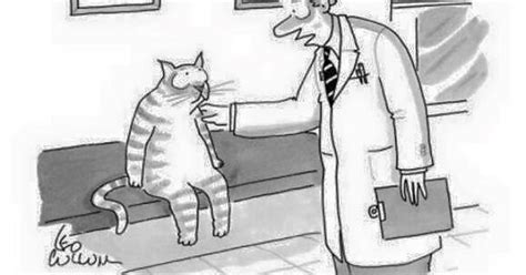 Cat Nip Album On Imgur