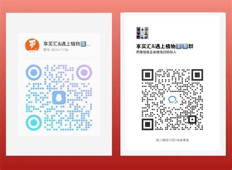 【享买汇】首码今晚8点上线，12大赚銭板块，扶持置頂！ Ck首码网