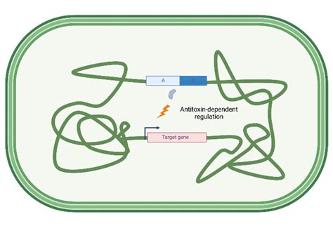 Possible Modes Of Cross Talk Between Proteins Belonging To Different