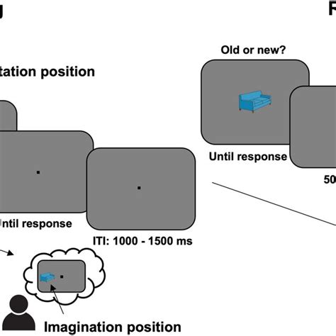Schematic Illustration Of The Experimental Procedure In The Encoding