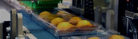 Rusk Packaging Machine Manufacturer in China