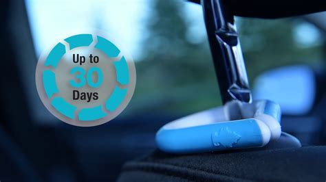 Wunder Baum Clip Promotional Video Youtube