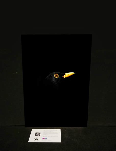 Mr Strange Merel Verkocht Kunstveiling Nl