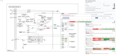 Pathway Analysis For Non Model Organisms