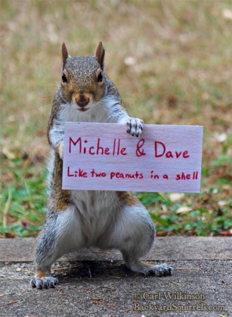 All Archives Backyard Squirrels Com