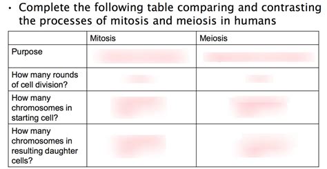 Mitosis And Meiosis Diagram Quizlet