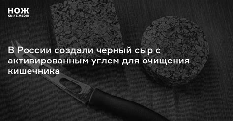 В России создали черный сыр с активированным углем для очищения кишечника — Нож