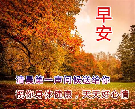 早安图片带字问候语特别暖心的早安 甜蜜 伤感说说吧