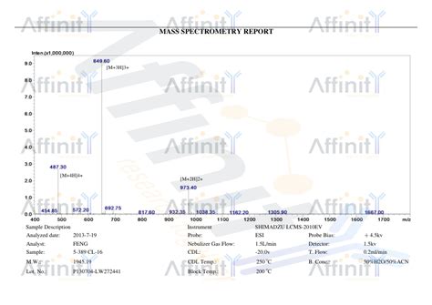 Lamin B1 Antibody Affinity Biosciences Ltd亲科生物官网