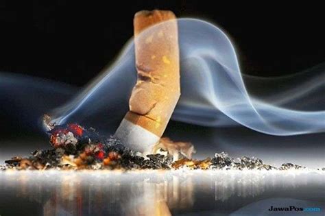 Tidak Sehat Ketahui 7 Efek Buruk Rokok Pada Kulit Hingga Rambut Fajar