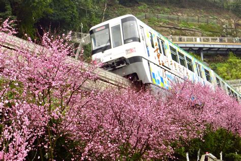 重庆开往春天的列车从佛图关站下车怎么走 重庆本地宝