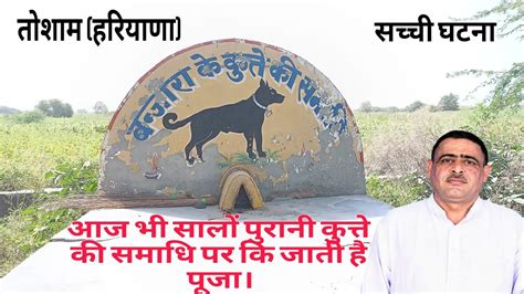 हरियाणा में आज भी लखी बन्जारे के कुत्ते की समाधि पर कि जाती है पूजा ...