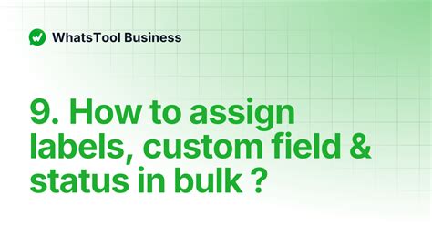 9 How To Assign Labels Custom Field And Status In Bulk Whatstool Business