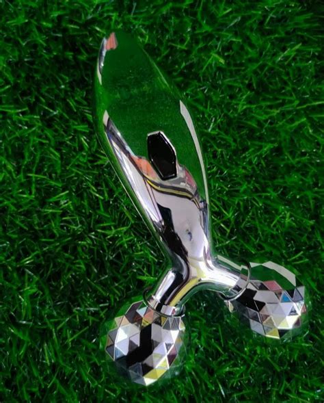 Silver Ssbody 3d Face Massager 12v Dc At Rs 80piece In New Delhi Id 2851529524462