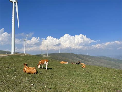 El Estudio Muestra El Impacto Del Cambio Climático En Las Zonas De