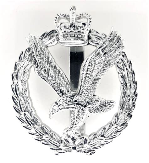 Sally Bosleys Badge Shop Army Air Corps Anodised Cap Badge By J R Gaunt