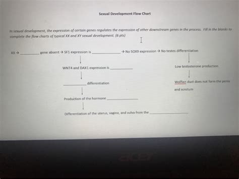Solved Sexual Development Flow Chart In Sexual Development